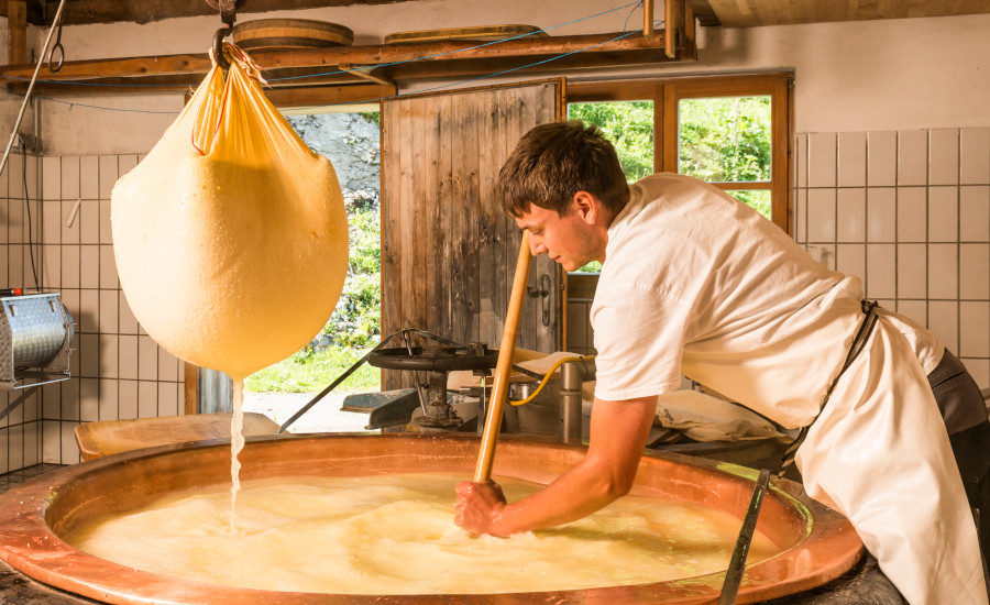 Visit a Swiss Cheese Farm and Learn, Make, Taste & Soak yourself in ...