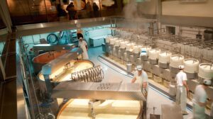 11 Best Cheese Factories to visit in Switzerland: A Paradise for Cheese ...